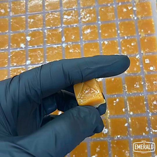 Guide to Savoring THC Edibles in Maine | Emerald Elevation